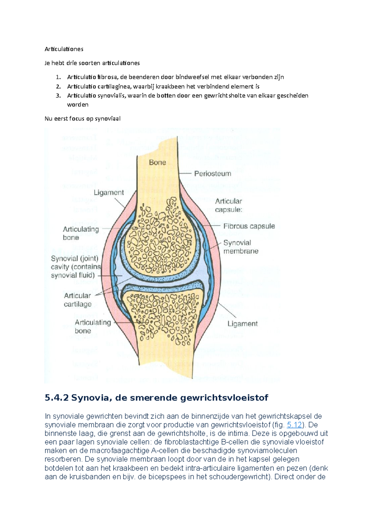Articulationes - 4 Synovia, de smerende gewrichtsvloeistof In synoviale ...