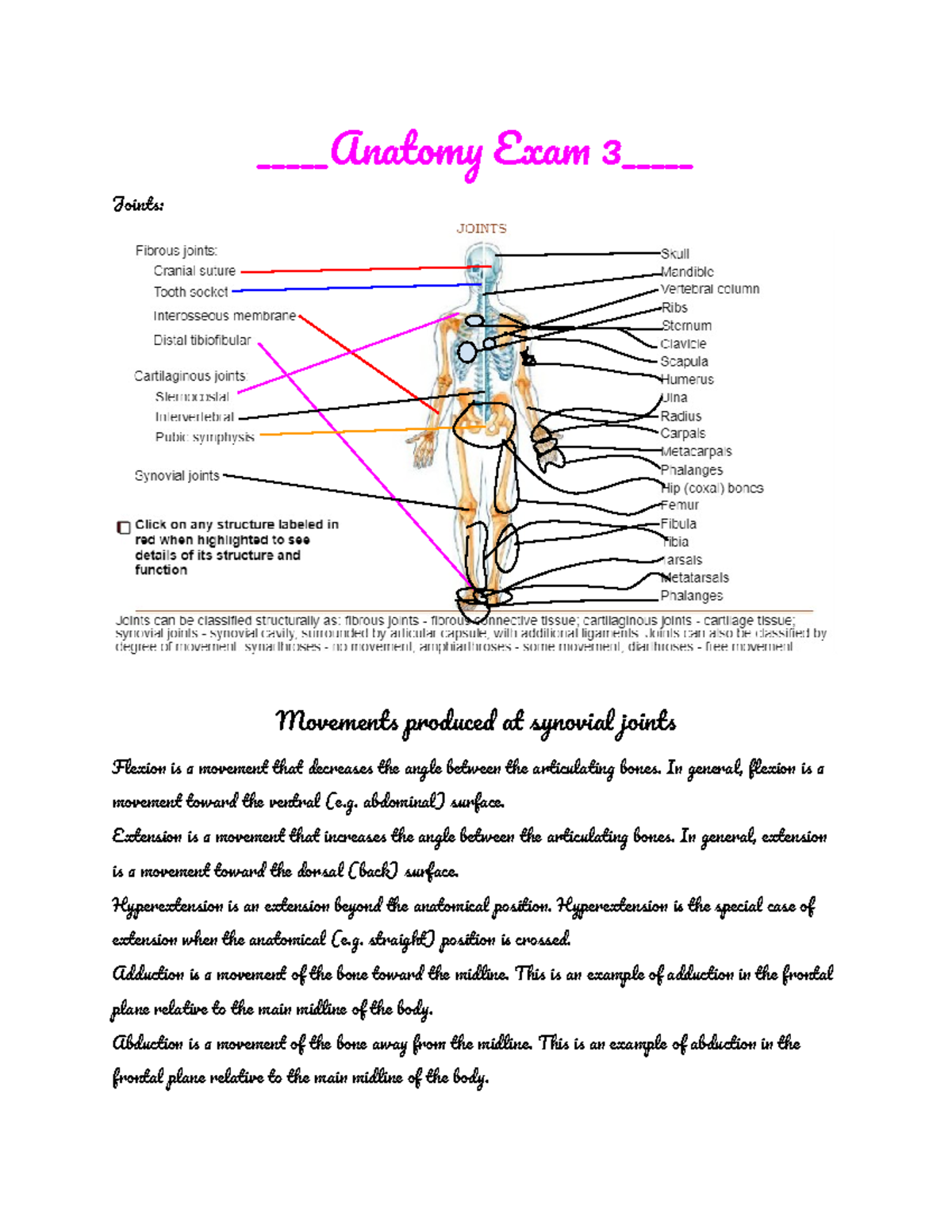 BIOL-253 Anatomy Exam 3: Joints and Movements - Anatomy Exam 3 Joints ...