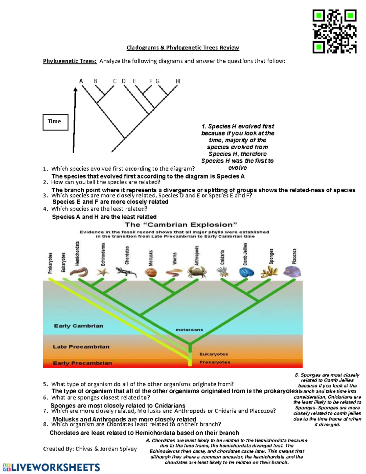 Cladograms phylo trees - Created By: Chivas & Jordan Spivey Time ...