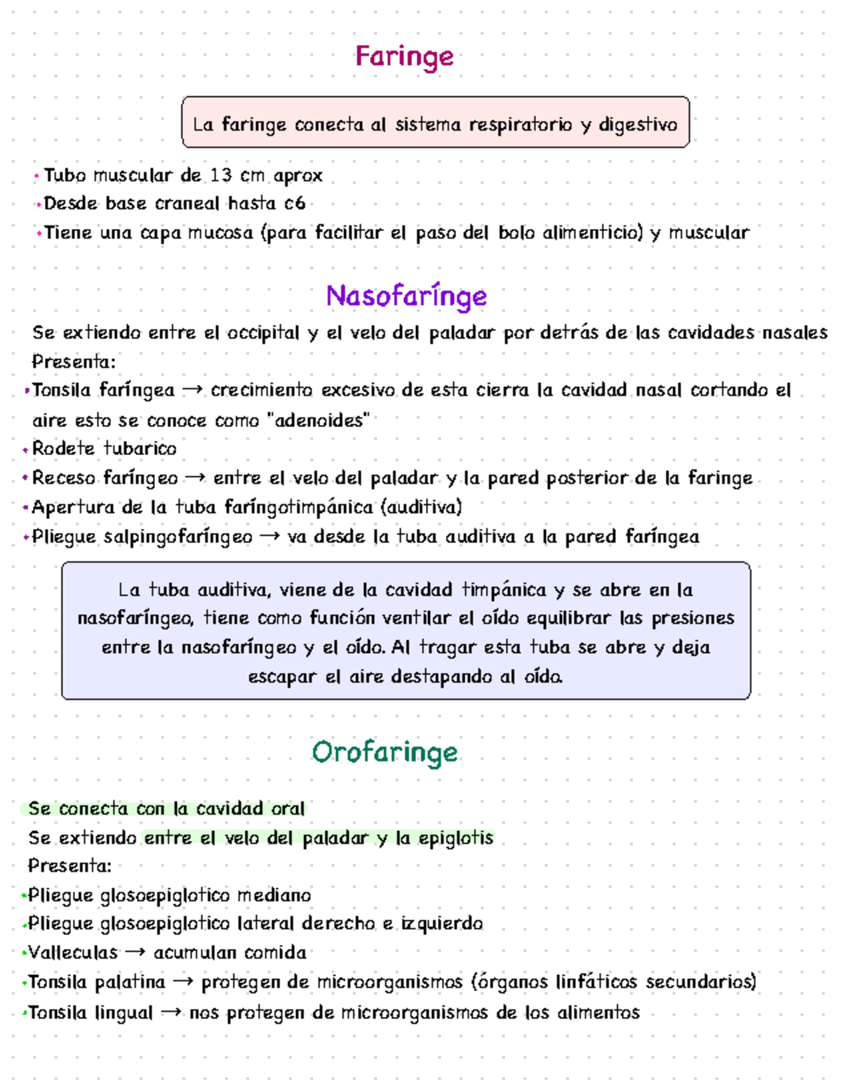 Faringe Y Laringe - Resumen - La faringe conecta al sistema ...