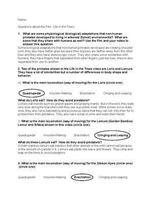 Monogenism vs Polygenism - October 16, 2017 Great Chain Of Being ...