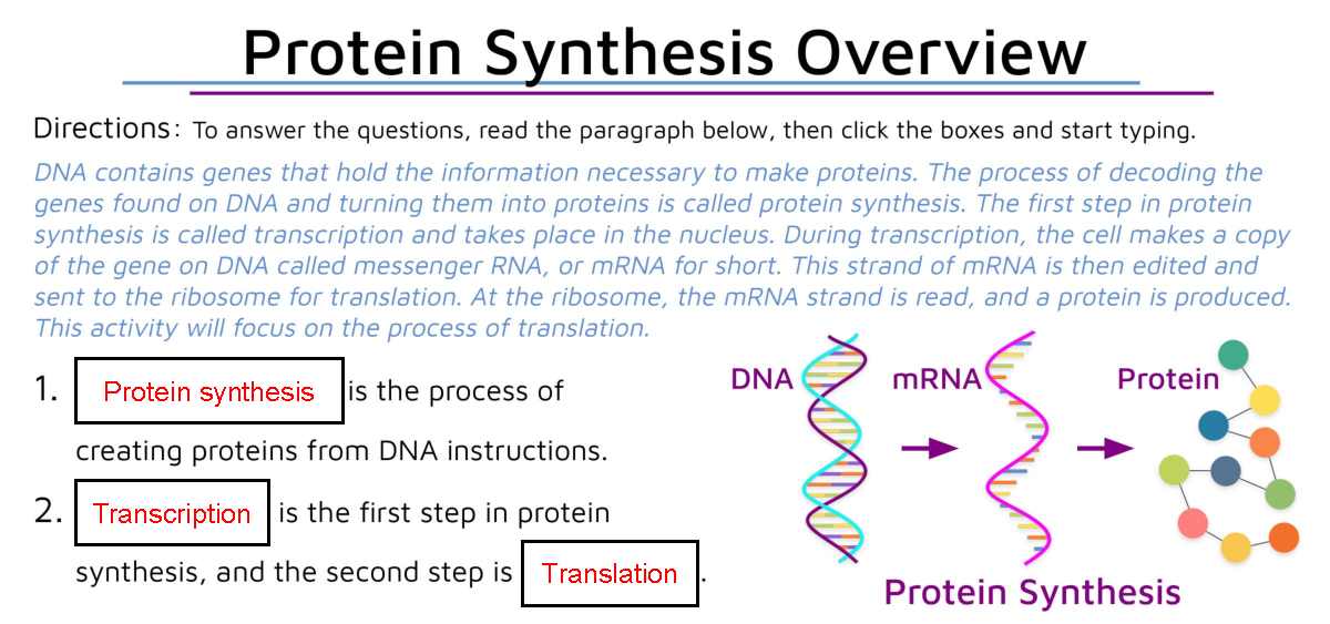 Copy of Translation Virtual Slides - Protein synthesis Transcription ...