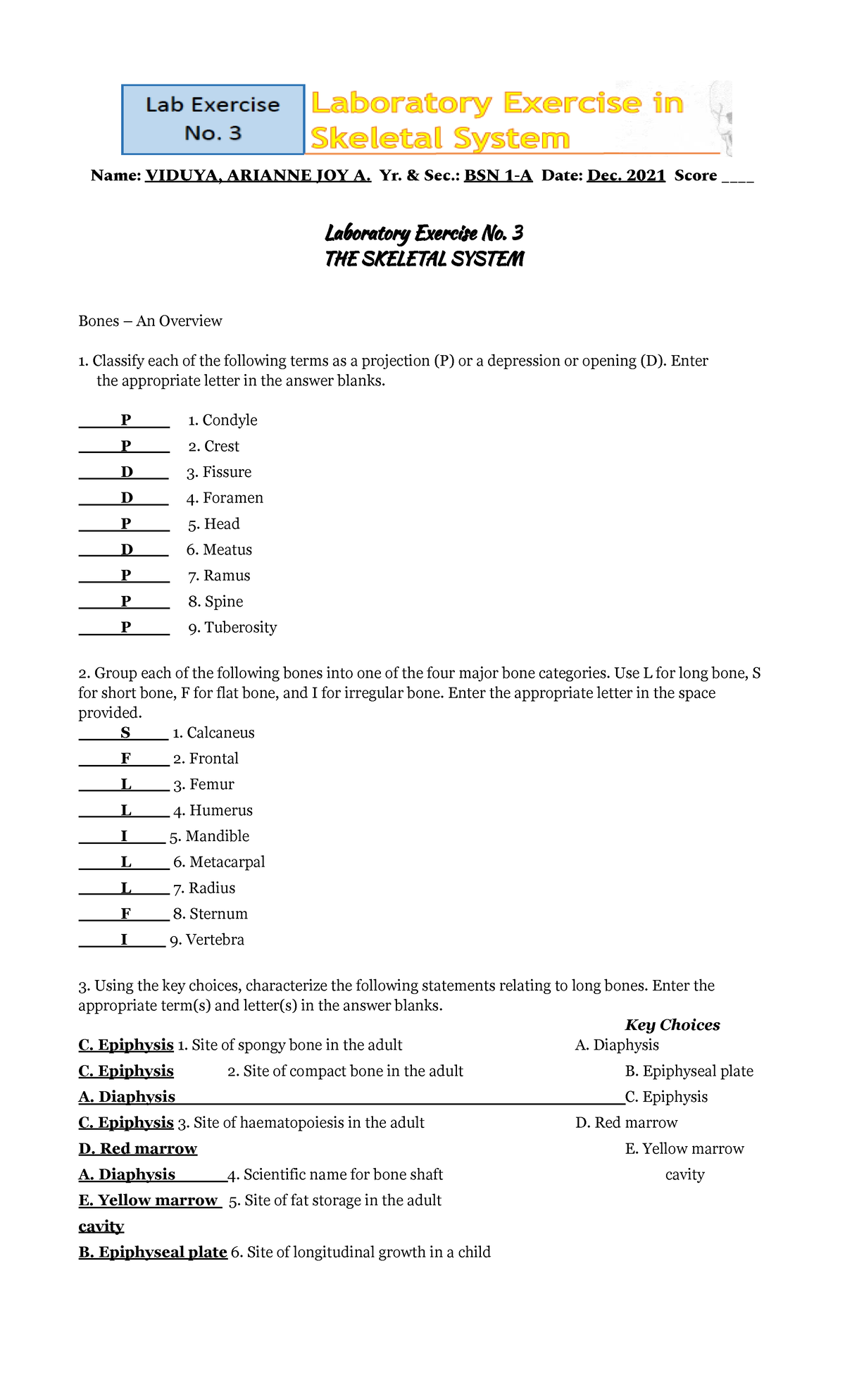 Anaphy Module 6 Laboratory Activities - Name: VIDUYA, ARIANNE JOY A. Yr ...