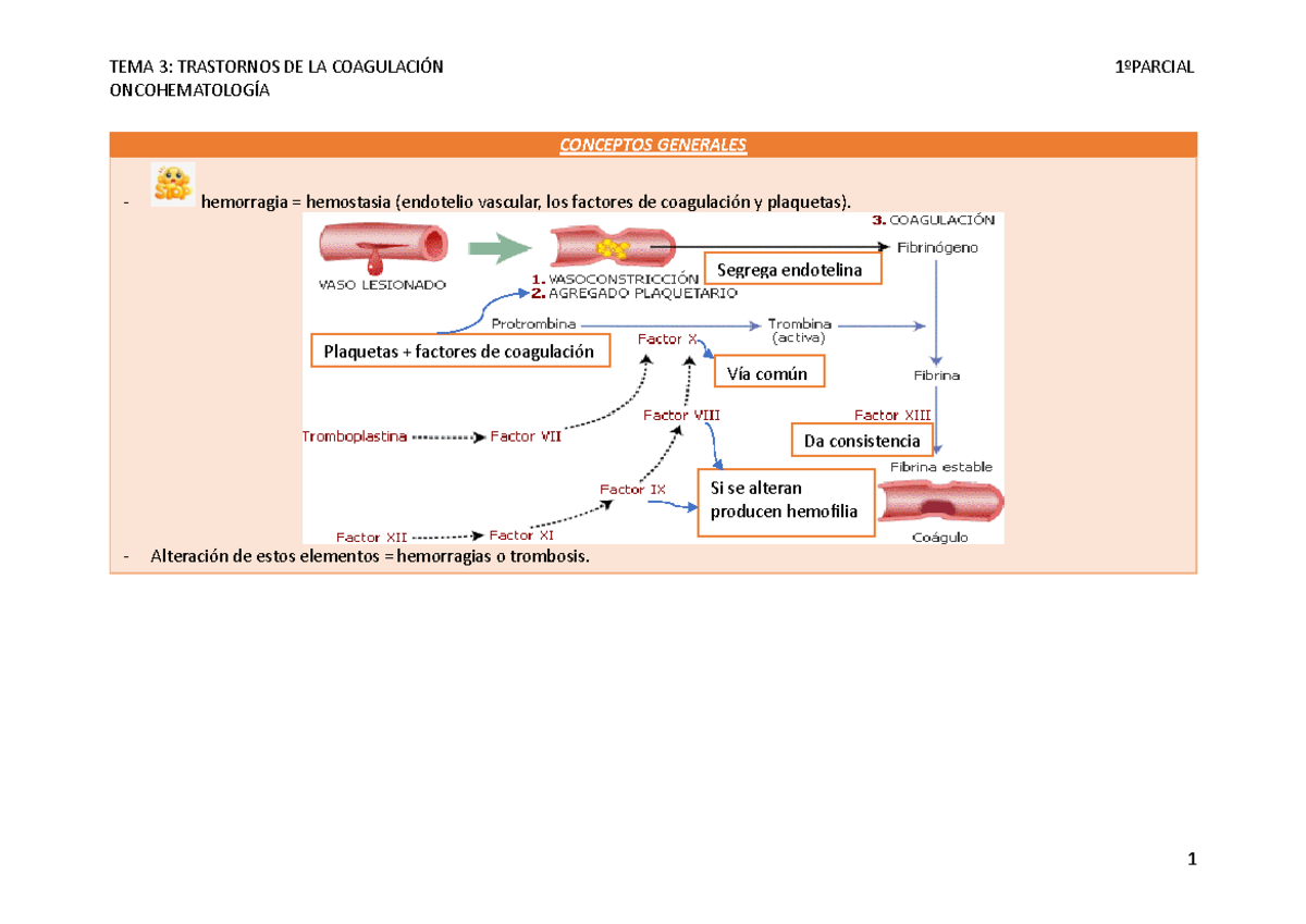 Tema 3 onco - TEMA 3: TRASTORNOS DE LA COAGULACIÓN 1ºPARCIAL ONCOHEMATOLOGÍA 1 CONCEPTOS ...