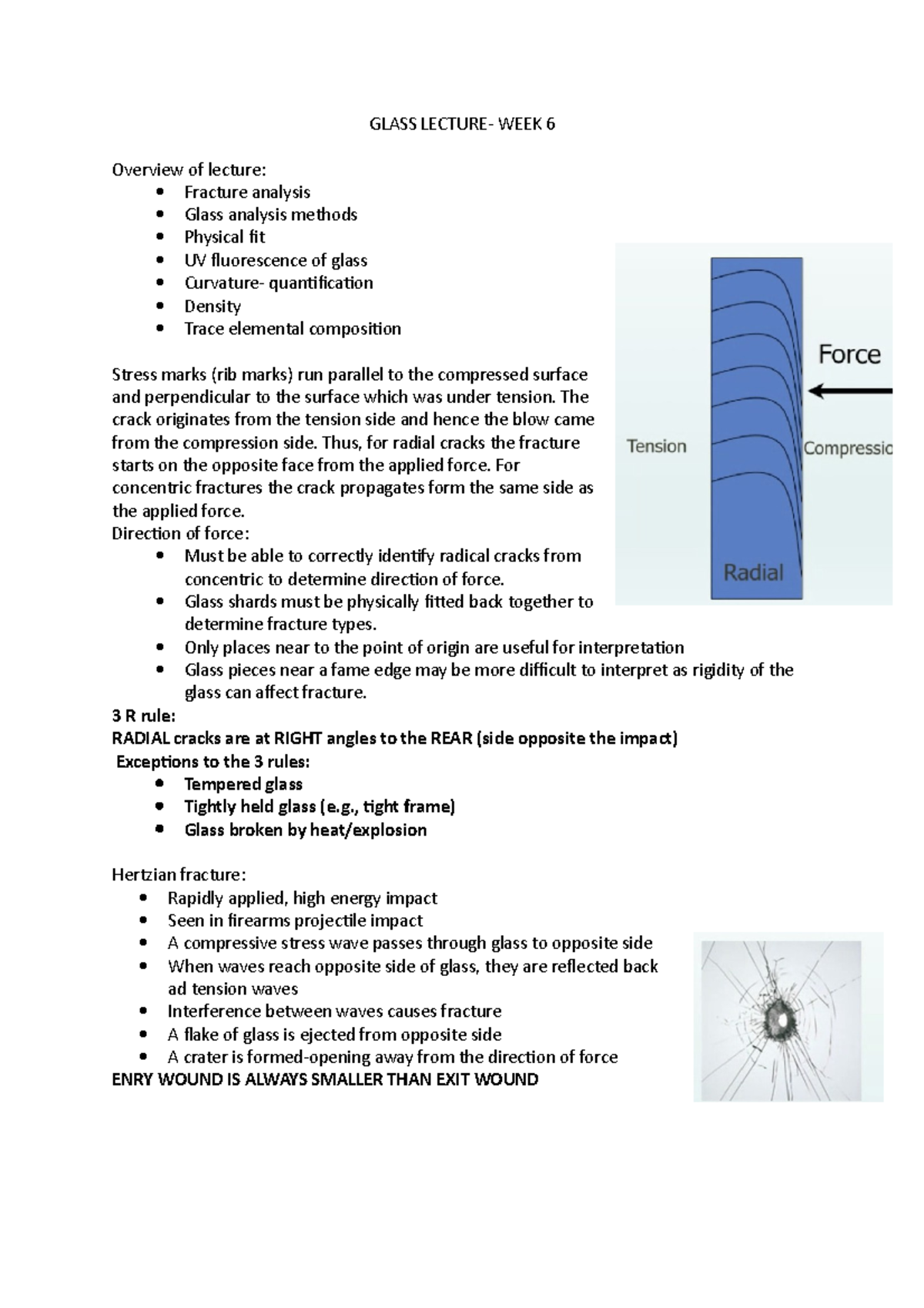 Glass Lecture- week 6 - GLASS LECTURE- WEEK 6 Overview of lecture ...