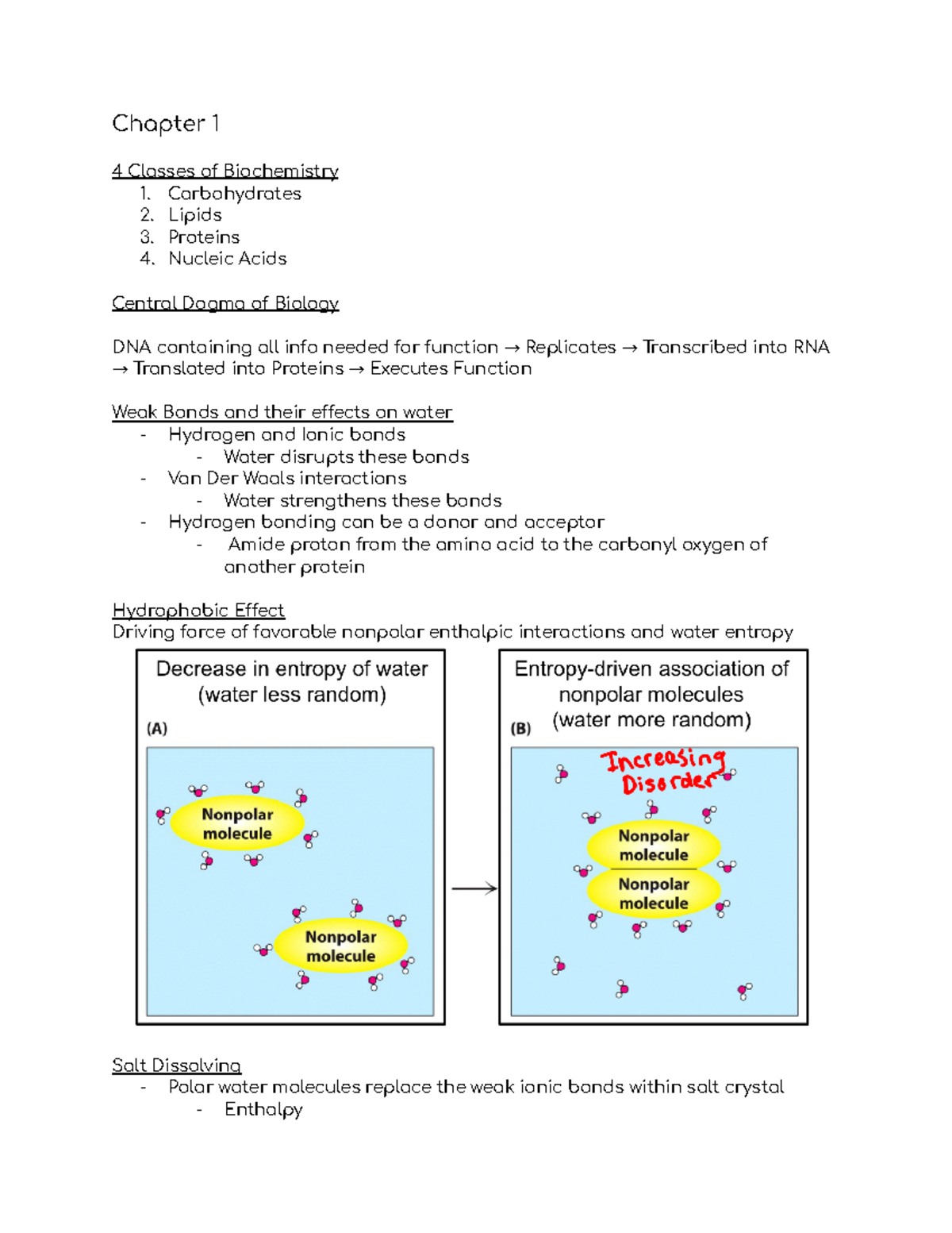 Biochem Exam 1 Study Guide - Chapter 1 4 Classes of Biochemistry 1 ...