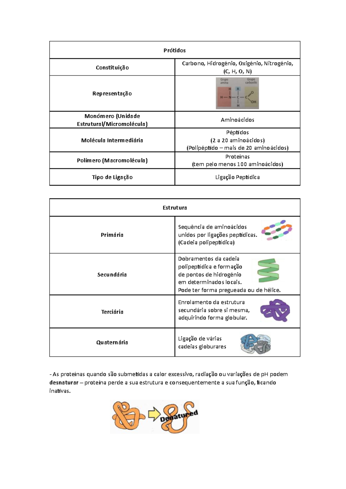 Prótidos - Prótidos Constituição Carbono, Hidrogénio, Oxigénio ...