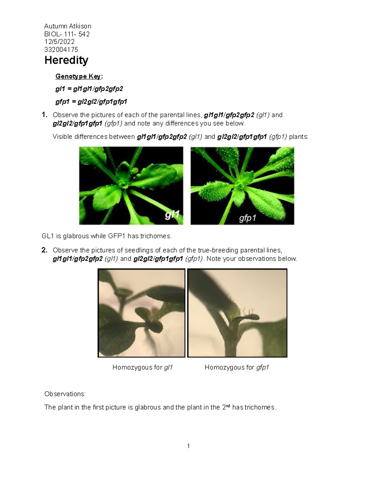 Heredity lab biology 111 - BIOL- 111- 542 12/5/ 332004175 Heredity ...