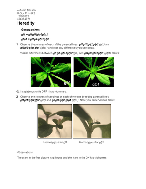 Photosynthesis Lab Protocoland Datasheet spinach v5 (1) - Section:____________________ - Studocu