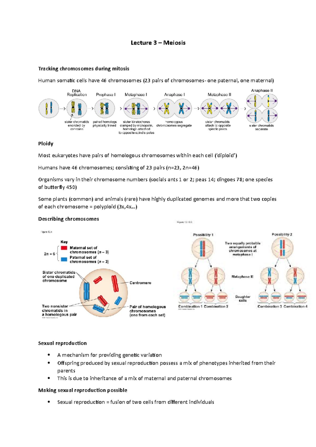 Lecture 3- Meiosis - Lecture 3 – Meiosis Tracking chromosomes during ...