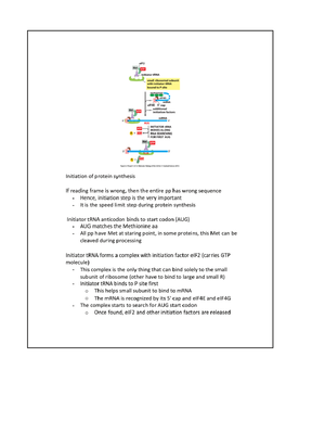 LSCI 202 Chapter 5 Part 1 - Lsci 202 - All these binding pro dimers or ...