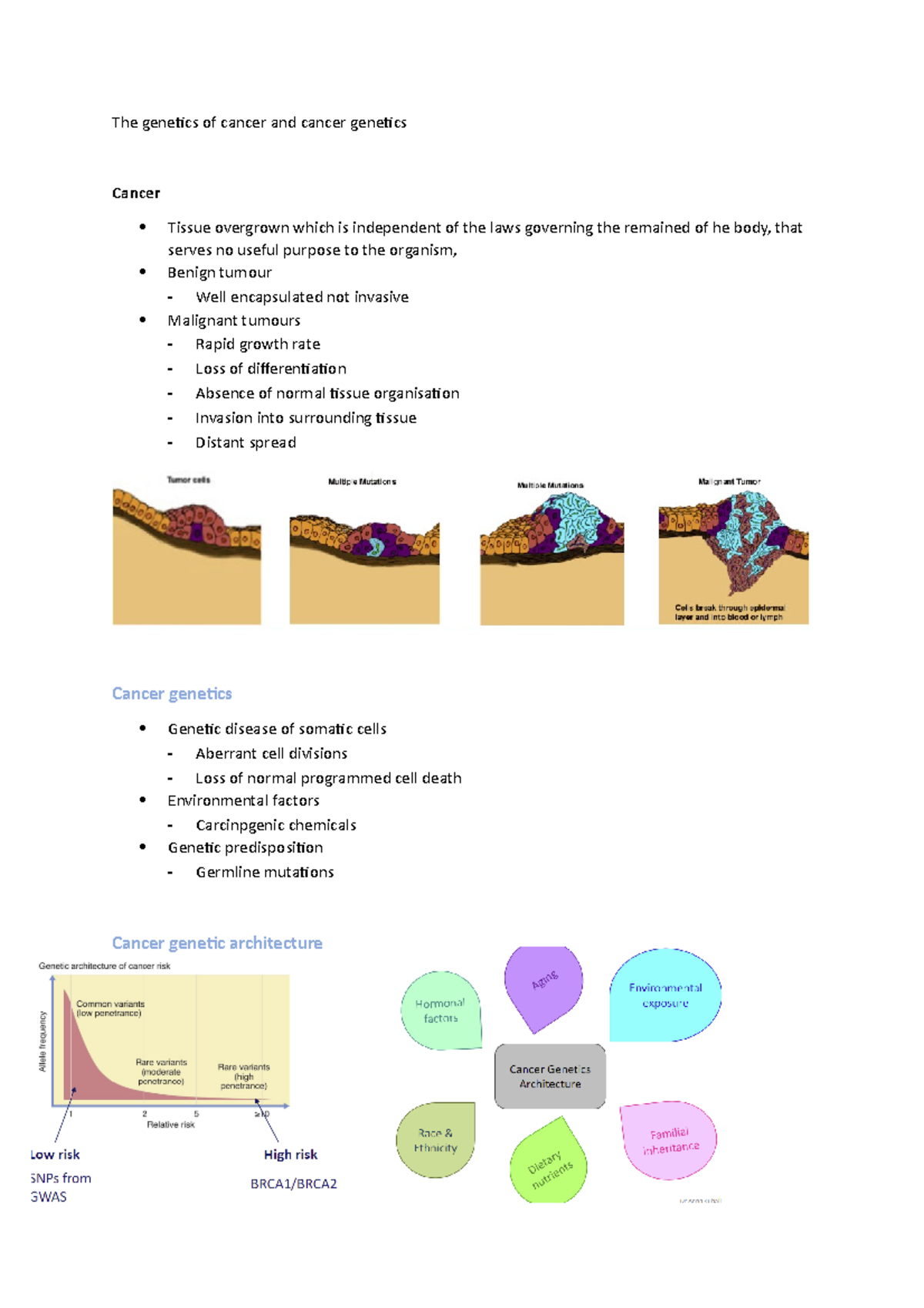 Week 8 The genetics of cancer and cancer genetics - The genetics of ...