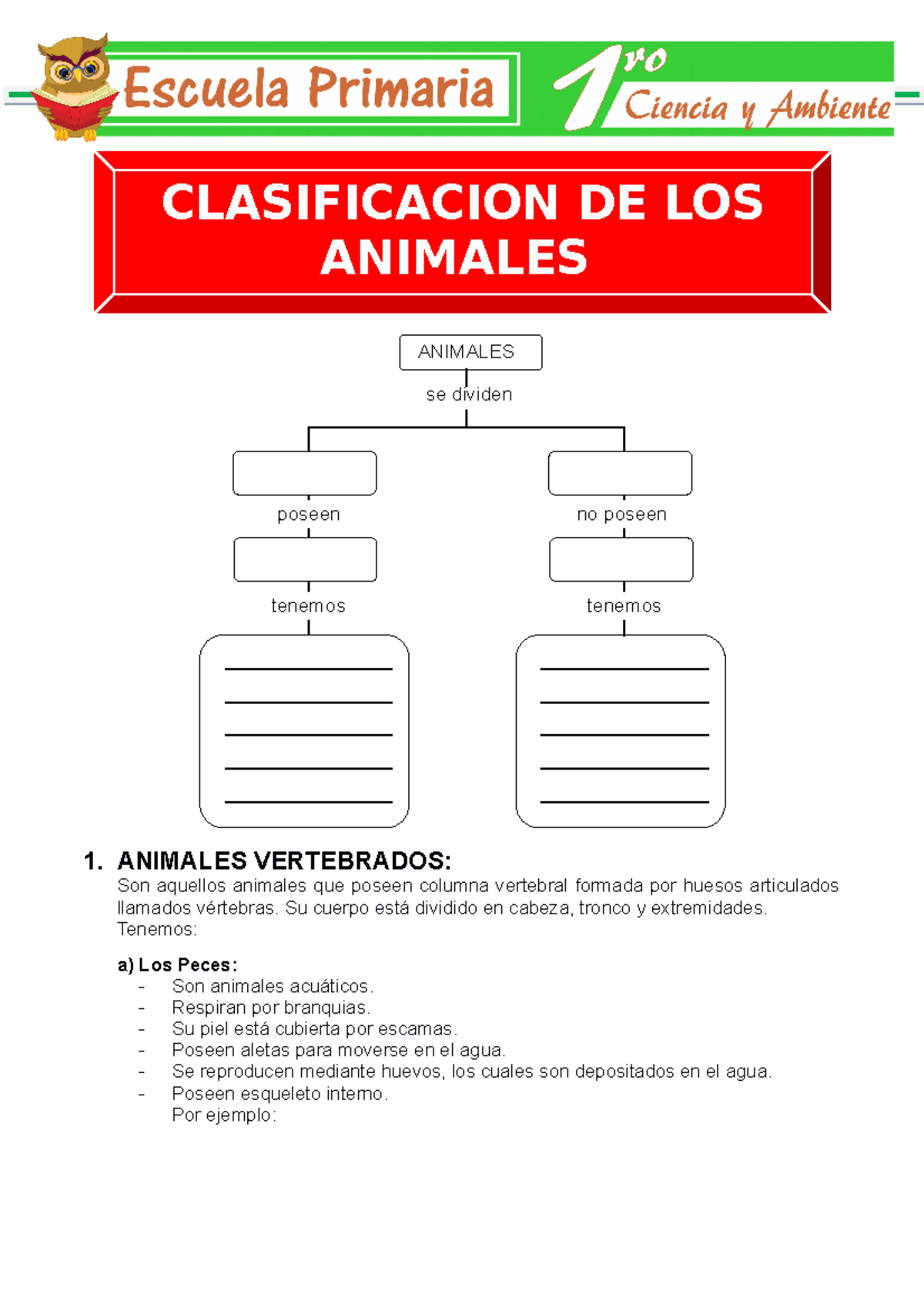 Clasificacion de los animales para Primero de Primaria - Primero de ...