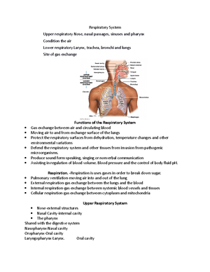 Peripheral NS - worksheet - BIOL 071 - Studocu