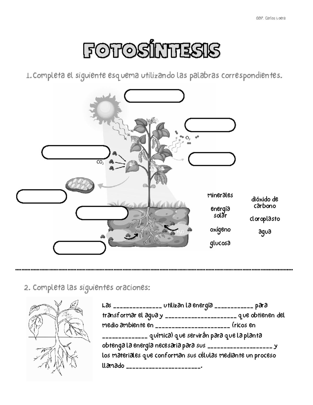 Actividad Fotosíntesis - FotosíntesisFotosíntesis 1. Completa el ...