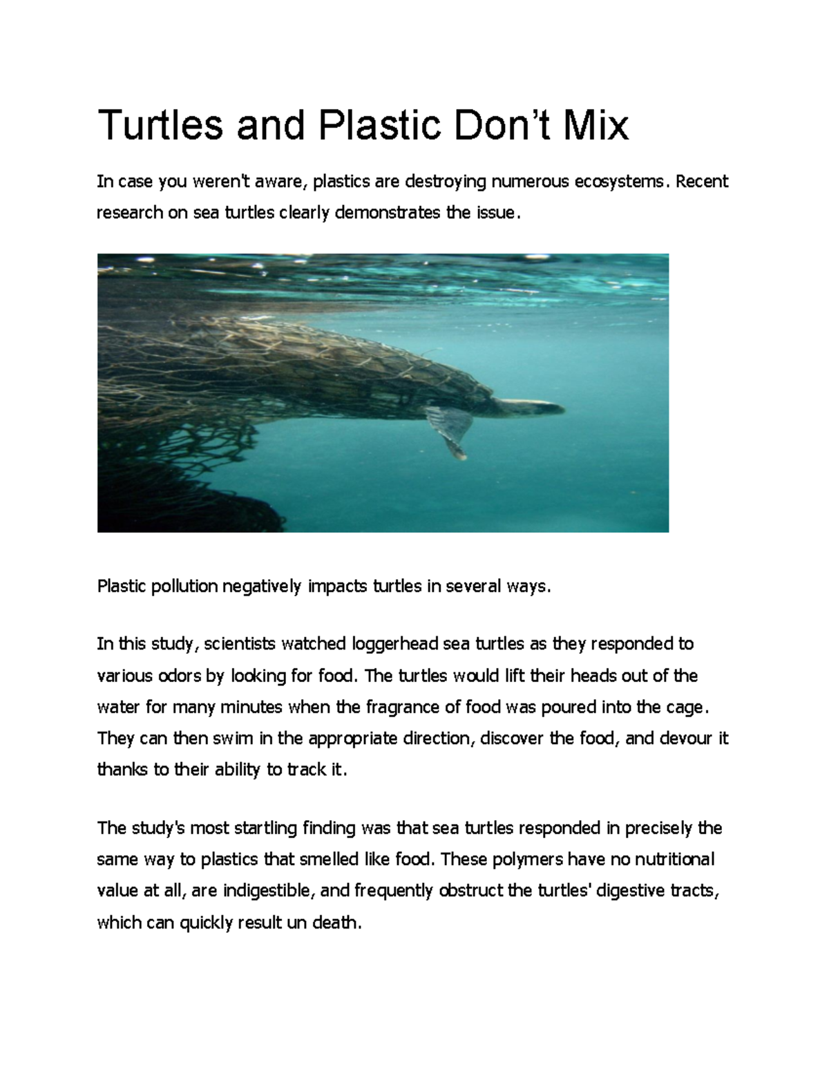 Turtles and Plastic Don - Recent research on sea turtles clearly ...