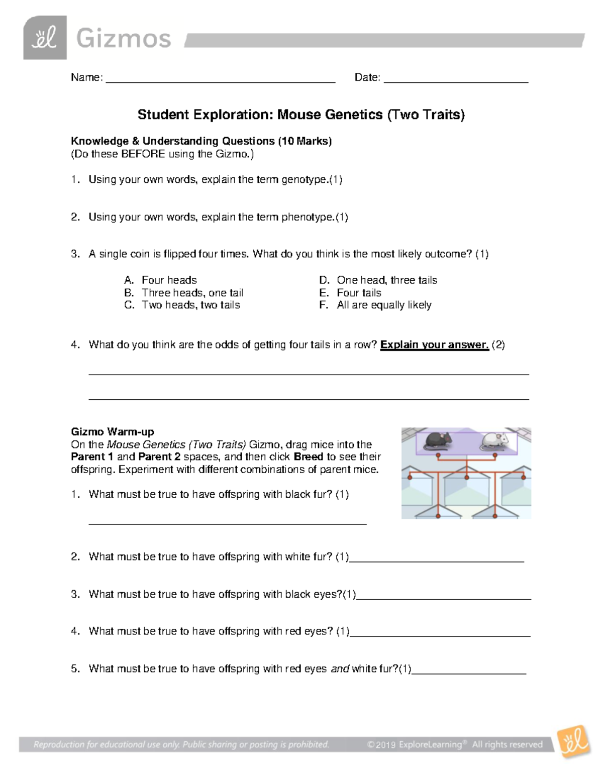 Unit 2 Assignment Mouse Genetics 2 - Name ...