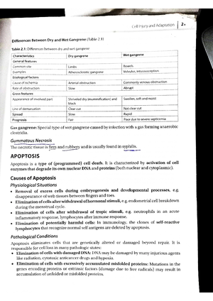 Morphology of reversible cell injury - Pathology - General pathology ...