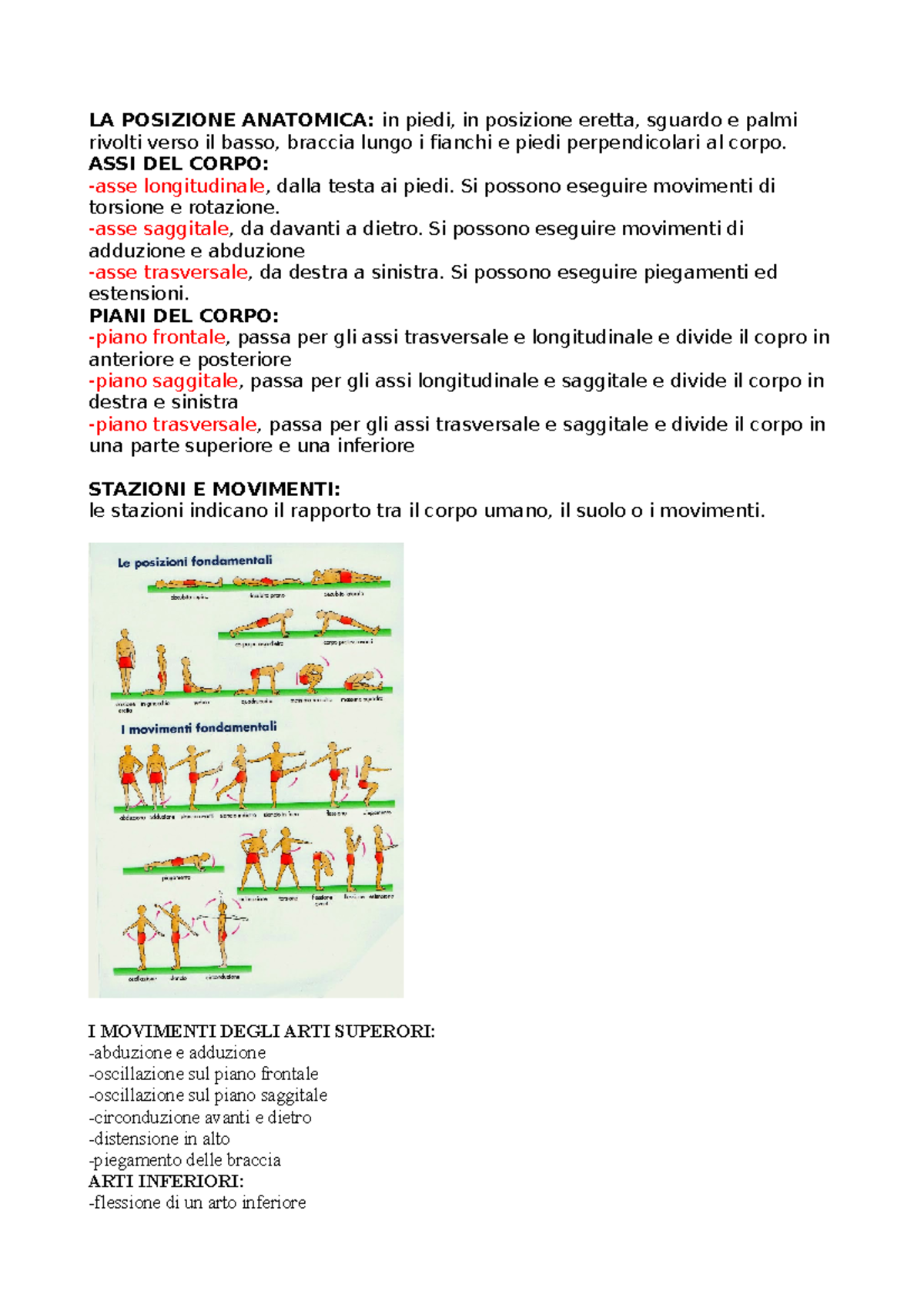 Assi piani e movimenti del corpo - LA POSIZIONE ANATOMICA: in piedi, in ...