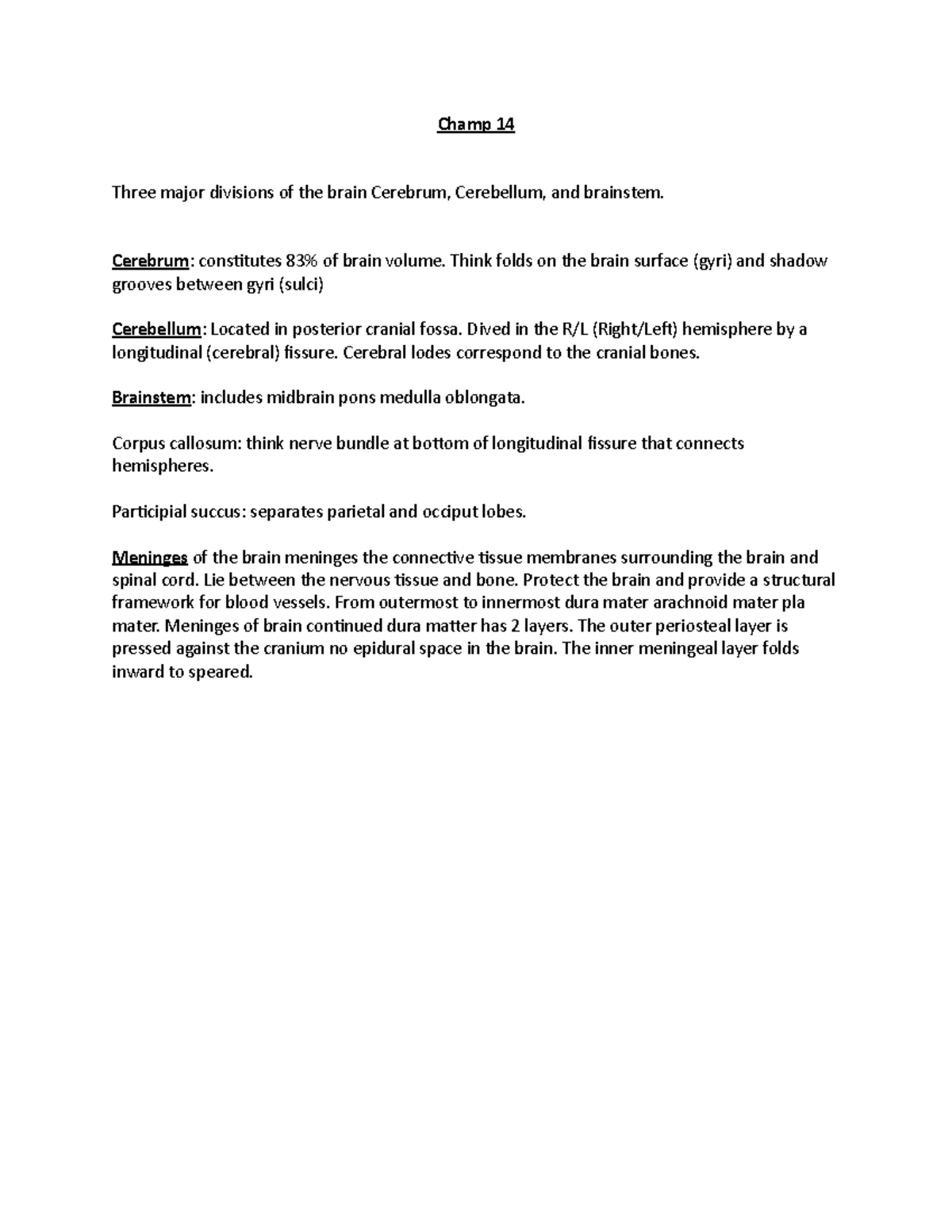 AP Chap 14 - AP Chap 14 - Champ 14 Three major divisions of the brain ...