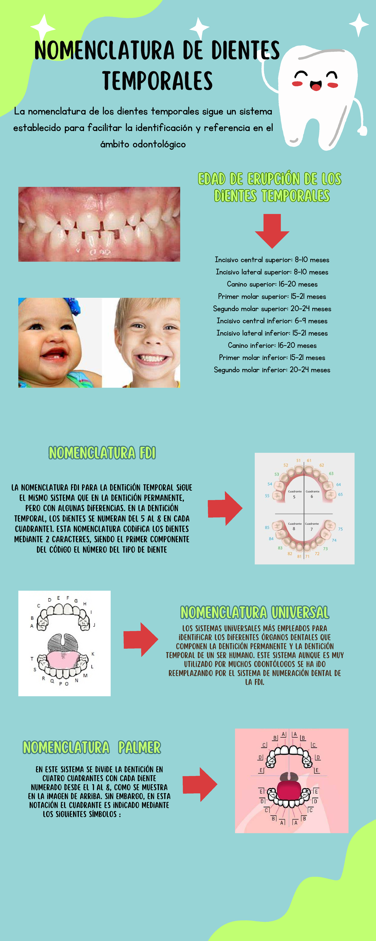 Nomenclatura - En la dentición temporal, los dientes se numeran del 5 ...