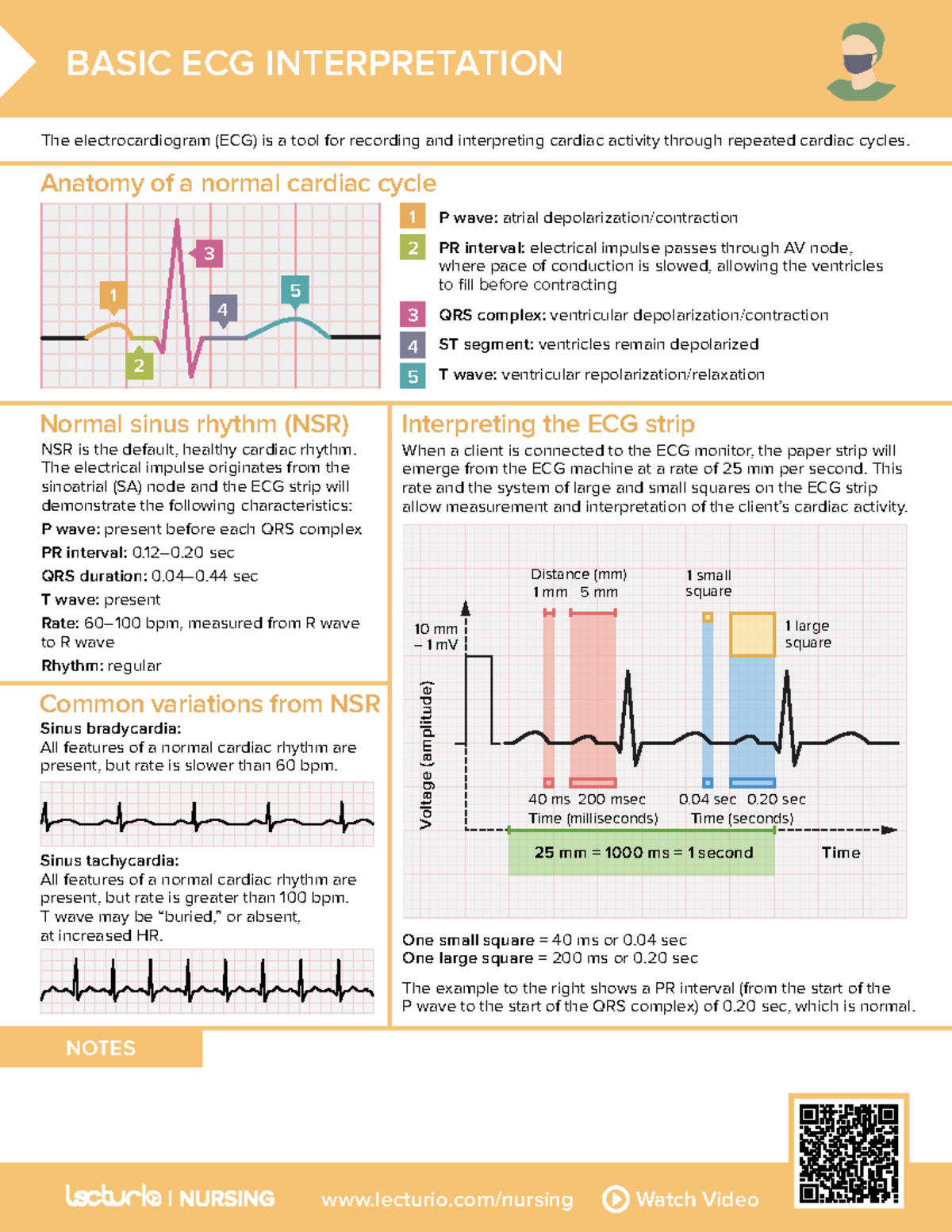 Basic-ECG-Interpretation Cheat Sheet - lecturio/nursing Watch Video ...