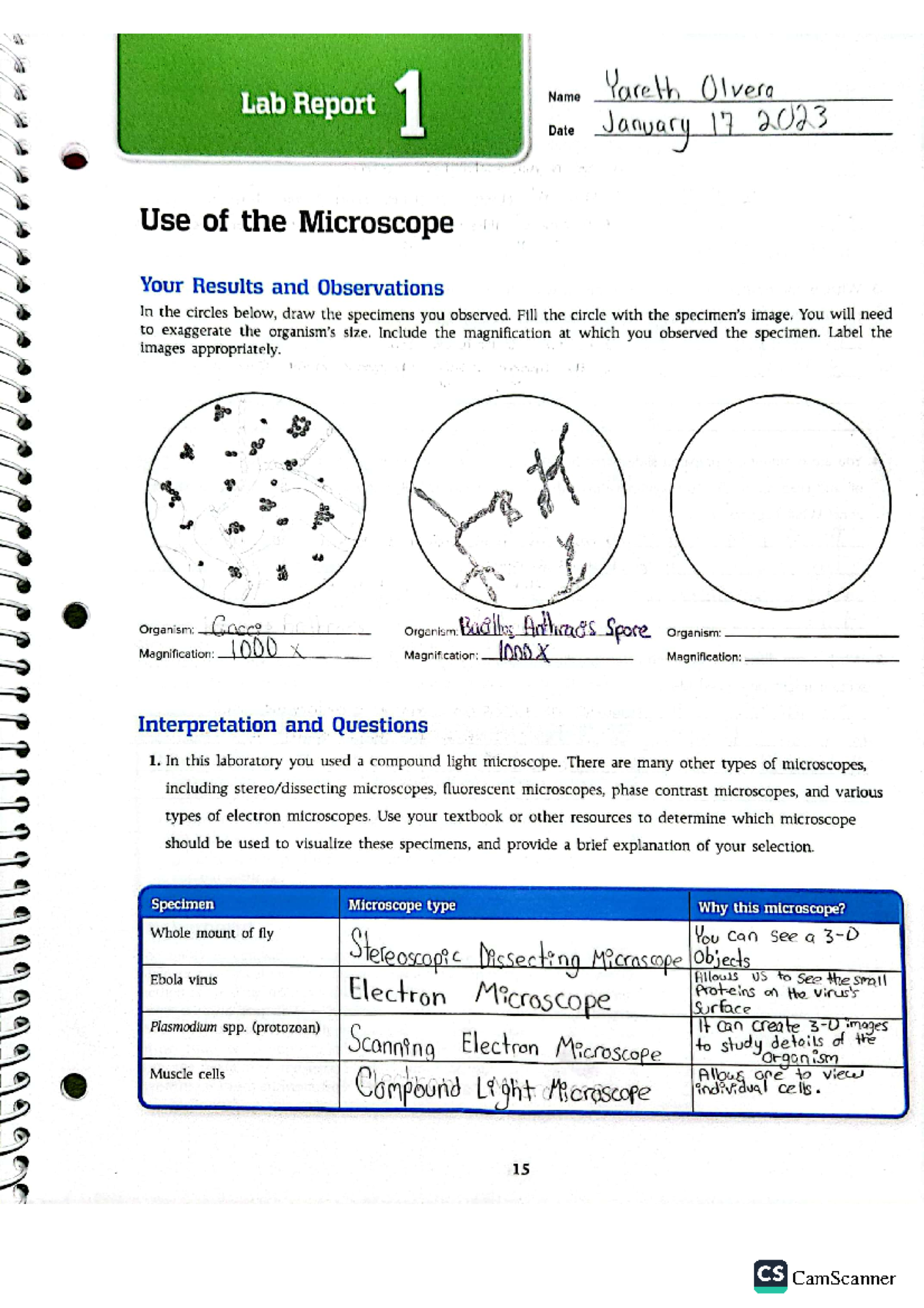 Lab Ex. 1 - Use of the Microscope - Bio 214 - CamScanner CamScanner - Studocu