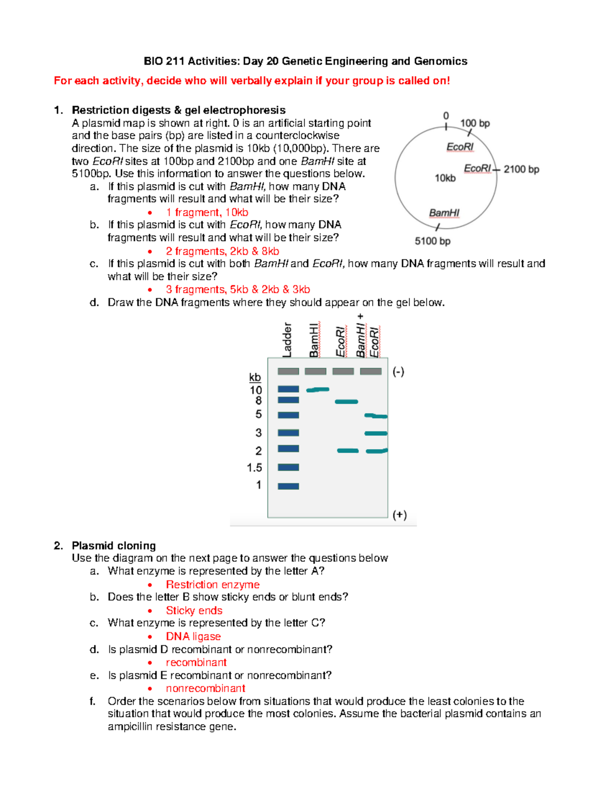 20-Genetic Engineering Genomics - BIO 211 Activities: Day 20 Genetic ...