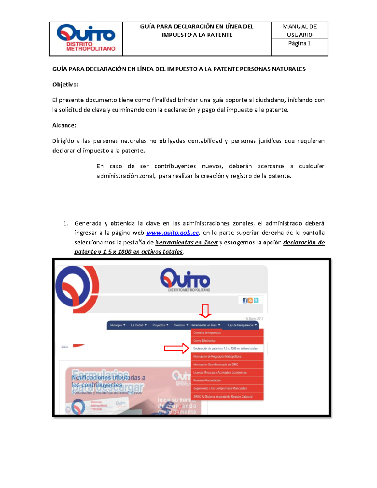 GUÍA Declaración EN Línea Patente Personas Naturales - IMPUESTO A LA ...