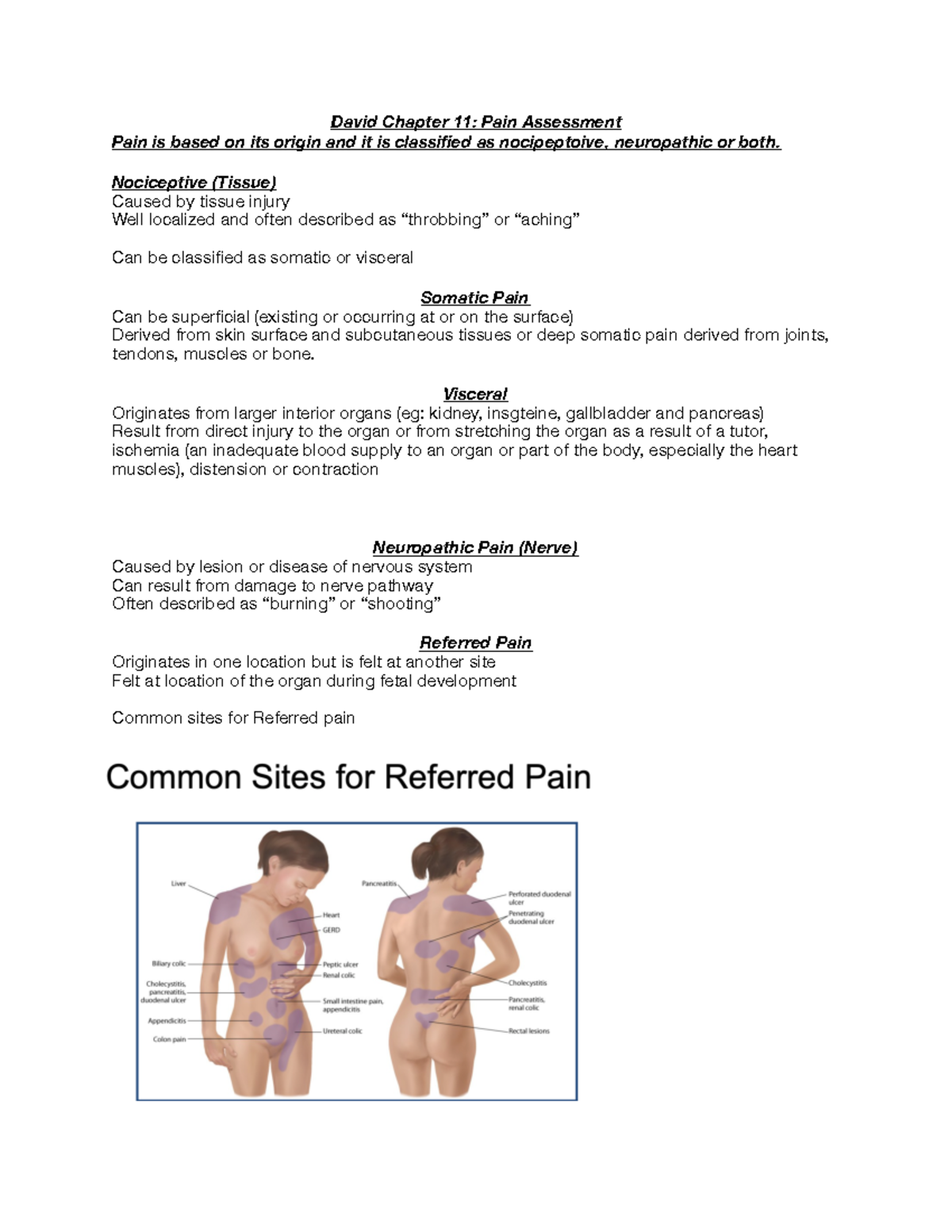 David Test Review Chapter 11: Pain PDF - David Chapter 11: Pain ...