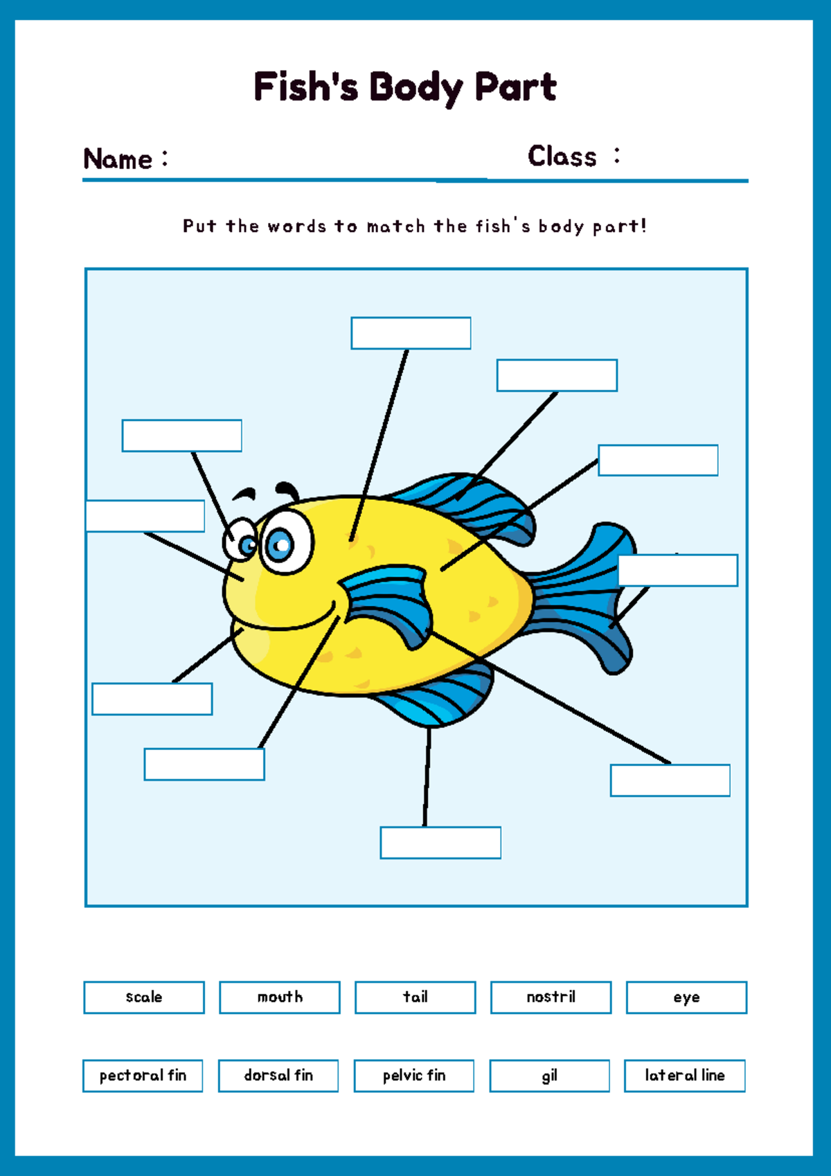 Fish's Body Part English Worksheet In Blue White Simple Style ...