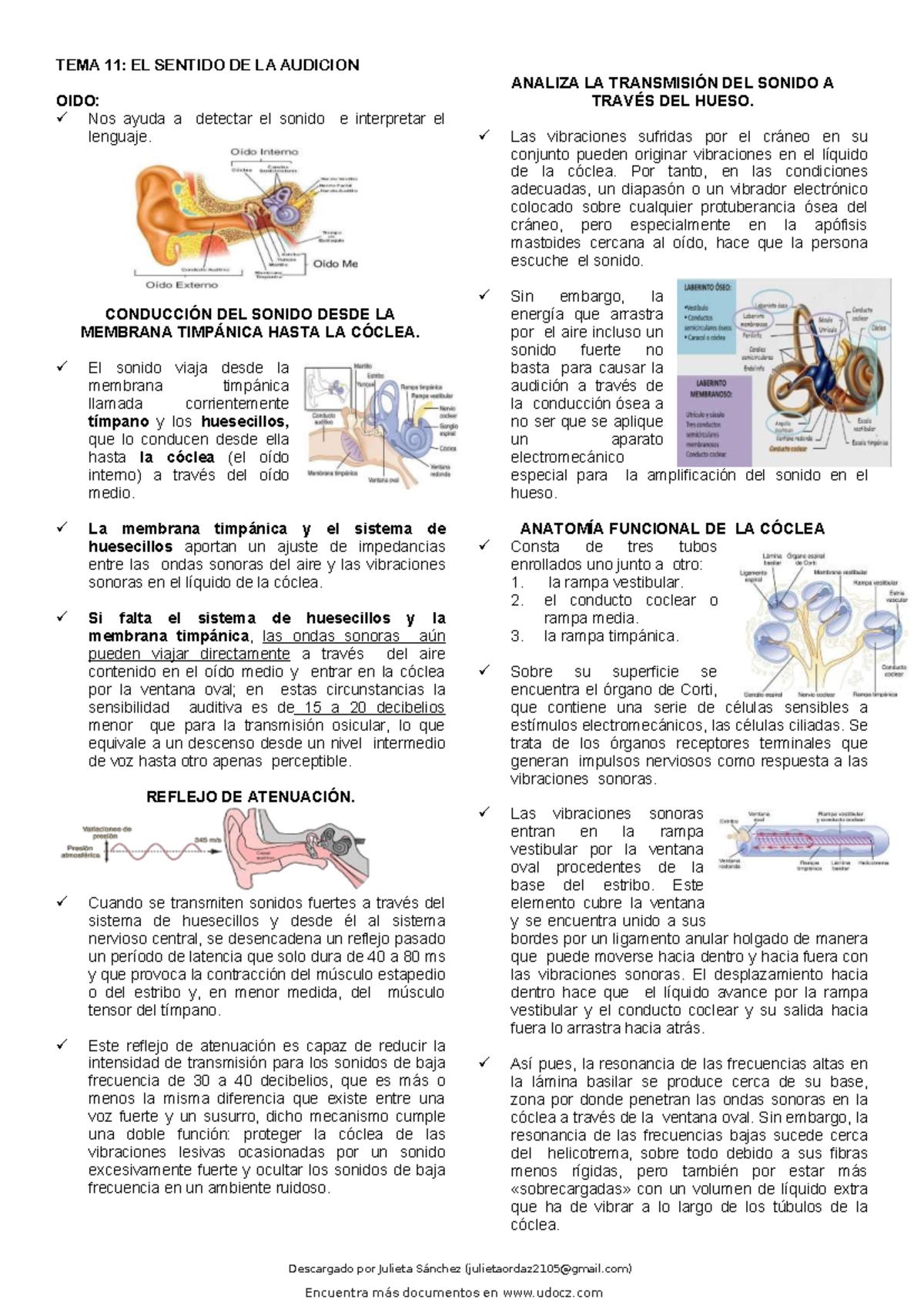 Tema 11 sentido de audición - TEMA 11: EL SENTIDO DE LA AUDICION OIDO ...