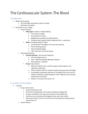 Human heart - visible body - 1. What is a basic description of the ...