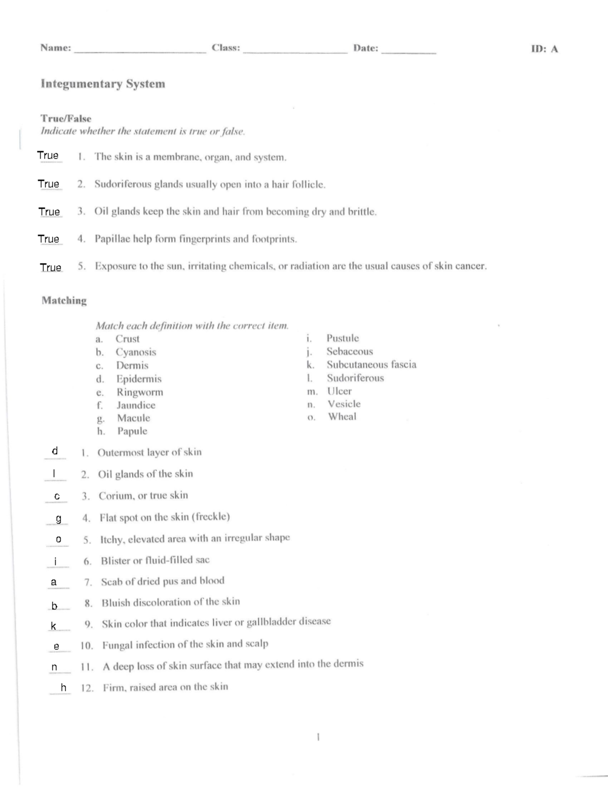 Integumentary Quiz(1987) - Name: Integumentary System Truc/False Class ...