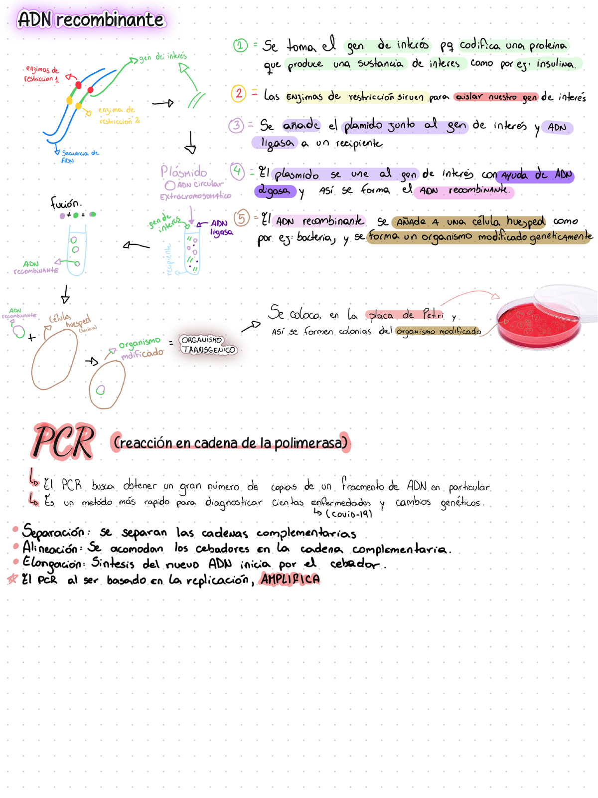 Solemne 2 biocel - Biologia Celular - Studocu
