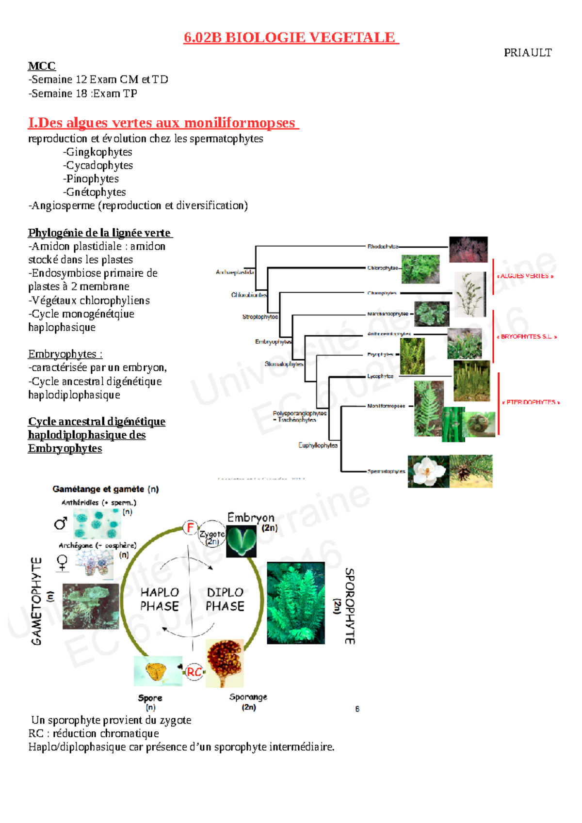 Biologie végétale - 6 BIOLOGIE VEGETALE PRIAULT MCC -Semaine 12 Exam CM ...