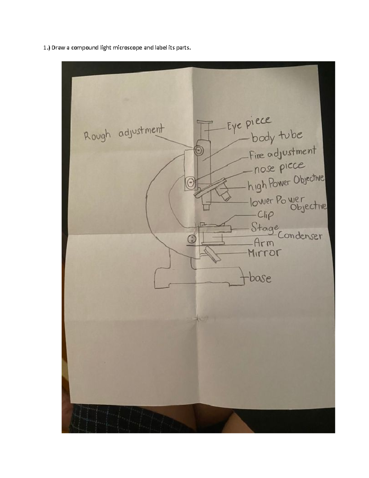 Activity #2 lab - reviewer - 1.) Draw a compound light microscope and ...