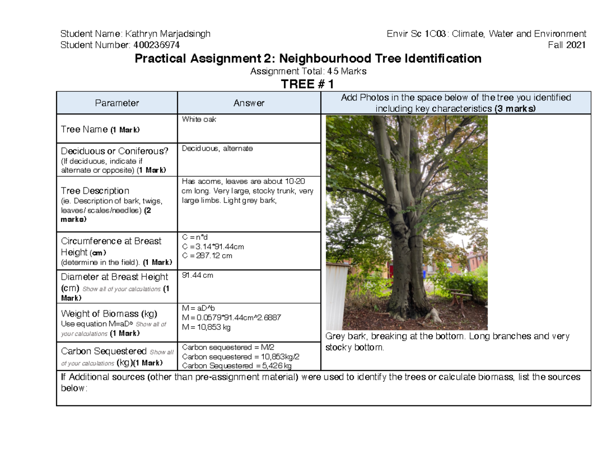 Practical Assignment 2 - Neighbourhood Tree ID - Student Name: Kathryn ...