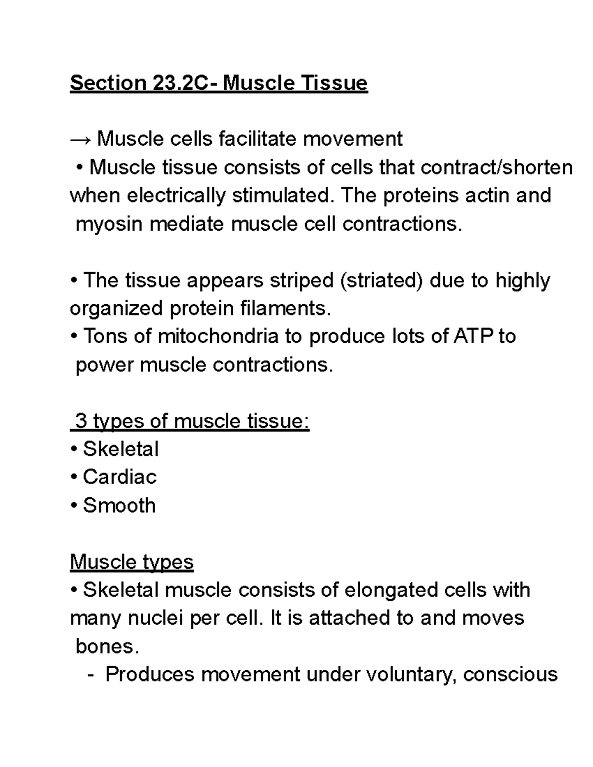 Chapter 23 Section 2C- Muscle Tissue - Section 23- Muscle Tissue → ...