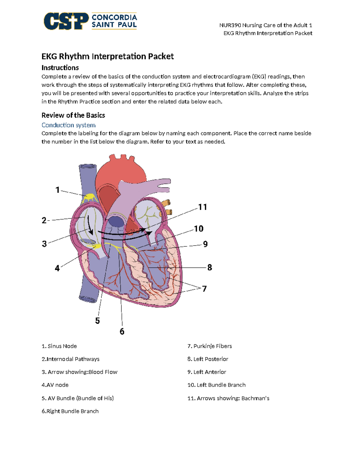 EKG Rhythm Interpretation Packet Updated (1) - EKG Rhythm ...