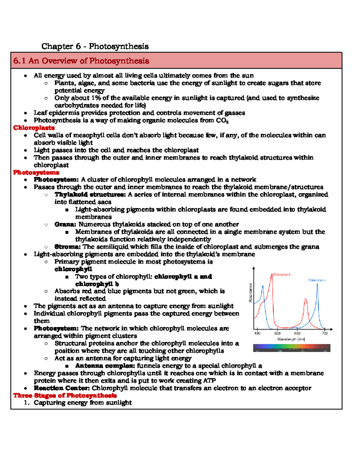 BIOL 100 Chapter 6 Notes - Photosynthesis - Chapter 6 - Photosynthesis ...