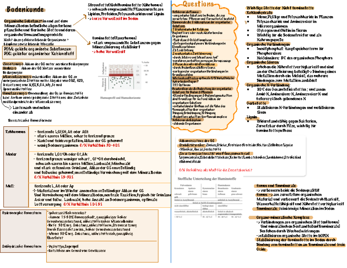 Bodenkunde - Zusammenfassung - Bodenkunde Organische Substanz= in und ...
