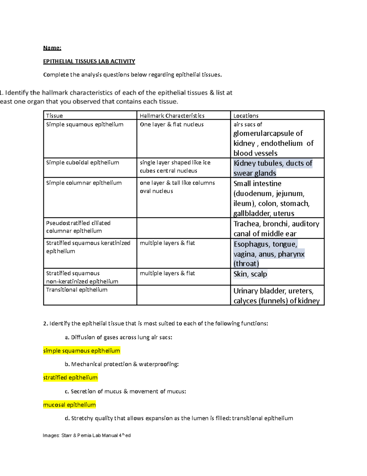 Lab 4 Epithelial Tissues Lab Activity - Name: EPITHELIAL TISSUES LAB ...