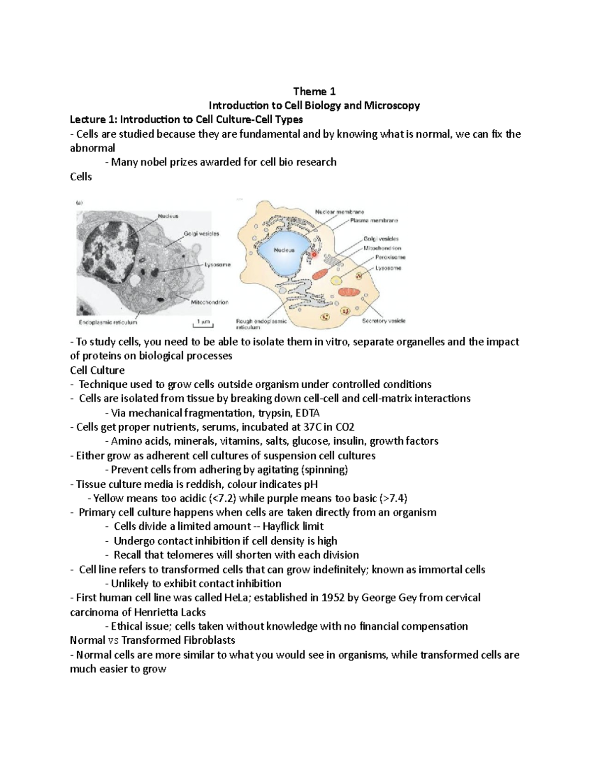 Midterm (Themes 1-3) - Notes - Theme 1 Introduction to Cell Biology and ...