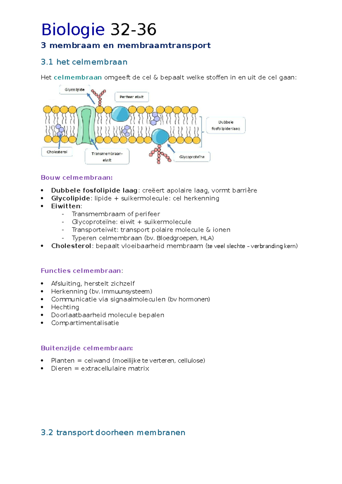 membraam & membraamtransport, subcellulaire structuren, celdeling en ...