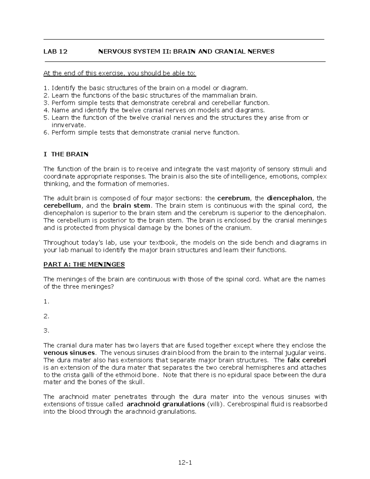 LAB 12 Brain CNS 2021 3 - yea - - Studocu