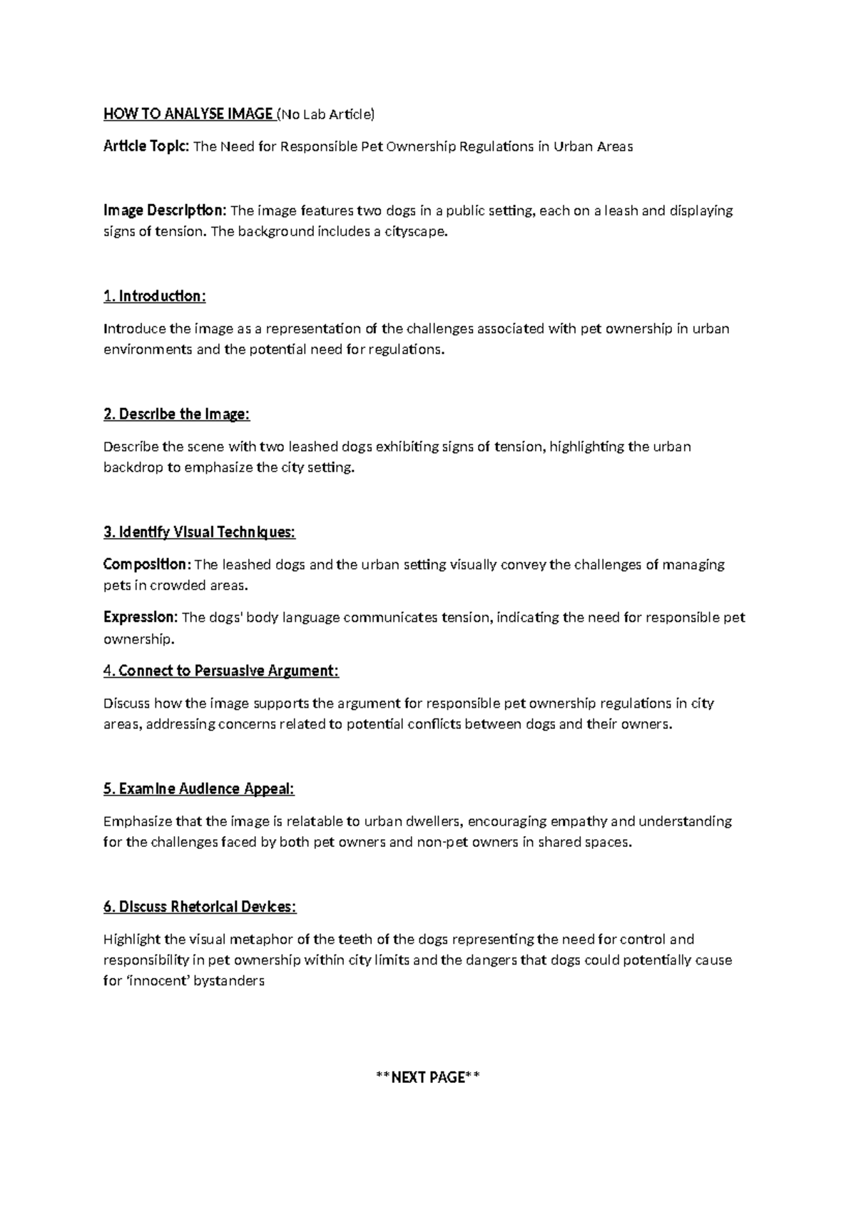 HOW TO Analyse Image - study notes - HOW TO ANALYSE IMAGE (No Lab ...