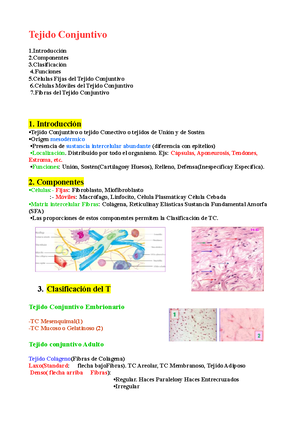 Histologia (Imprimir) 2 - PERICONDRIO Envoltura de tejido conjuntivo ...