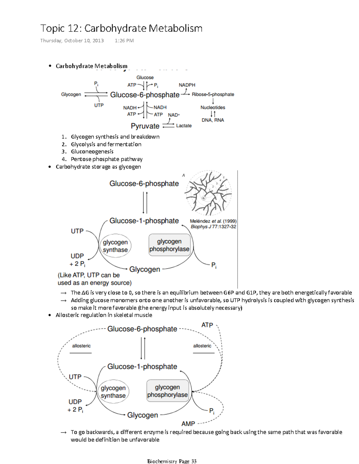 Biochem 2280 - Topic 12 Notes - Carbohydrate Metabolism Glycogen ...