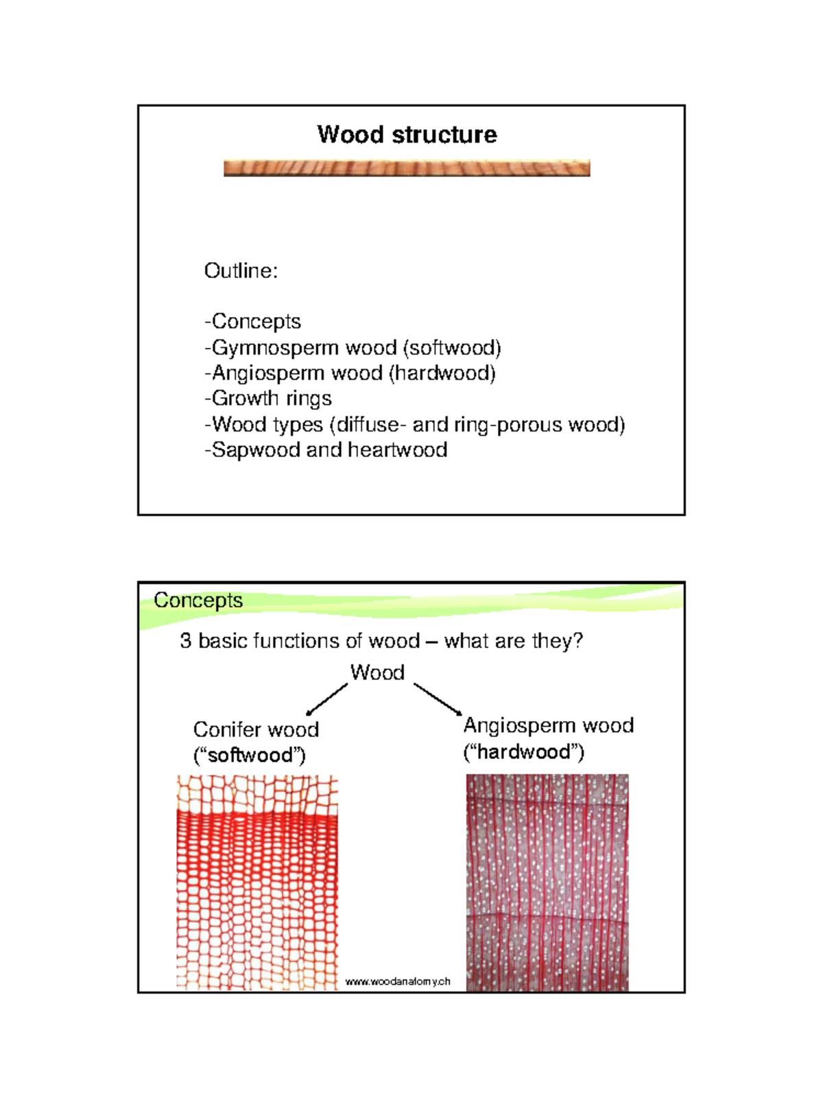 Wood structure lecture 2015 - Wood structure Outline: -Concepts ...